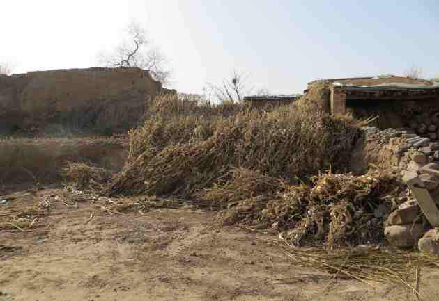 In search of temples—and another Daoist lineage | Stephen Jones: a blog