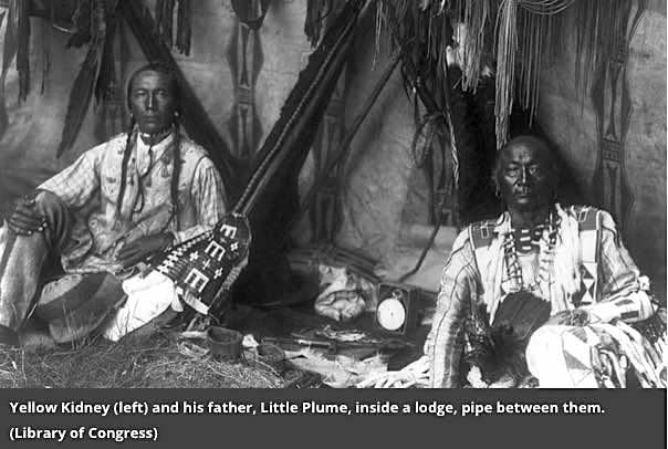 Comparing Native American Cultures
